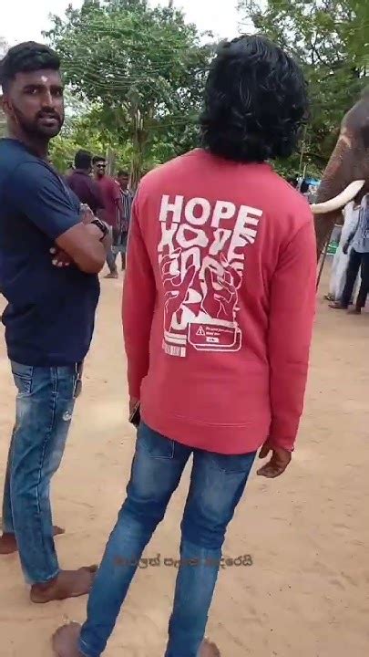 කතරගම කිරි වෙහෙරට යන පාරේ මහා ඇත් රජු Youtube