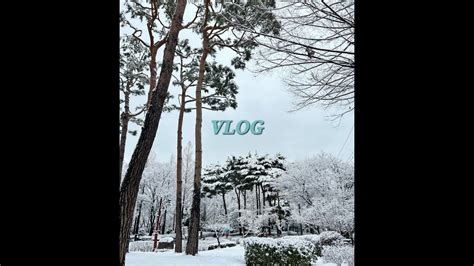 Vlog13 나에게 굴러온 행운은 5만원의 행복 뿐인가 Youtube