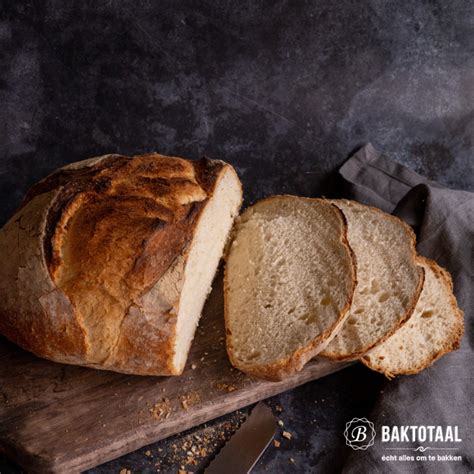 Verse Gist En Droge Gist Wanneer Gebruik Je Welke