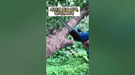 집에 있는 낡은 전기 체인톱과 기름톱이 날카롭지 않으면 이 연마기로 갈면 새로 산 것보다 더 날카로워지고 나무를 자르는 것은 두부를 자르는 것과 같다！ Youtube