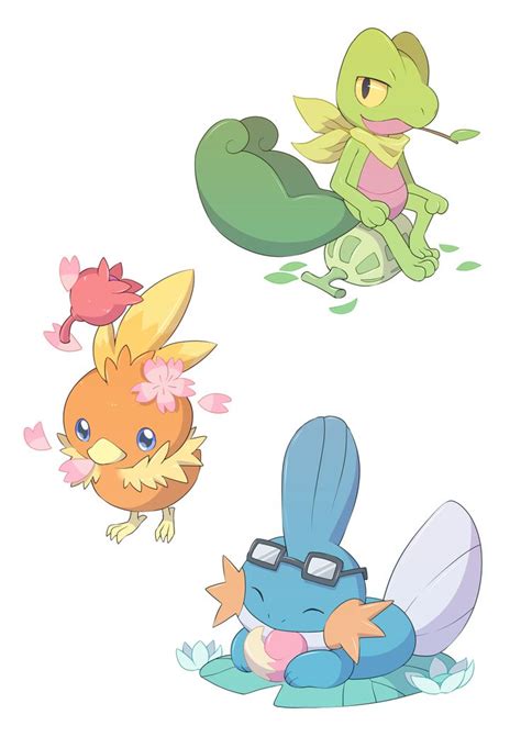 Treecko Torchic Y Mudkip Mudkip New Pokemon Pokemon