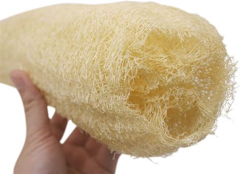 Premium Natural Loofah Luffa Lofa Loofa Spa Exfoliating Bath Bod