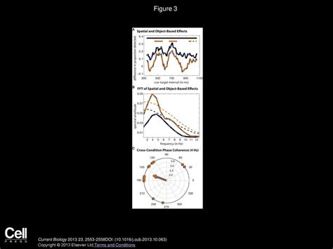 Ian C Fiebelkorn Yuri B Saalmann Sabine Kastner Current Biology Ppt Download
