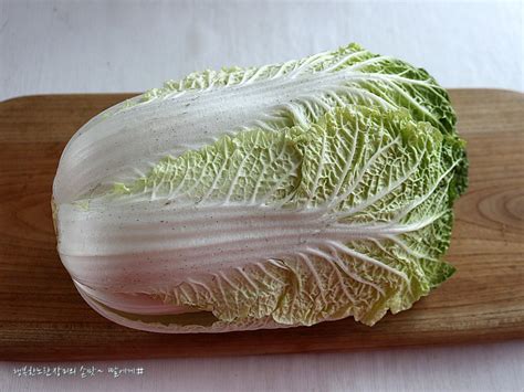 알배추 겉절이 만드는법~배추김치