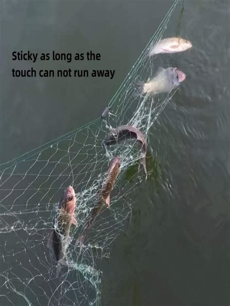 Fishing Mesh Gill Net SHEIN USA