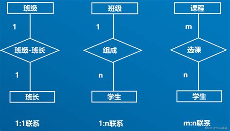 数据库原理及应用·数据库系统结构 csdn博客