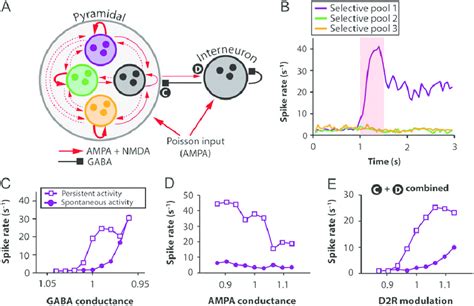 attractor network model for d2r modulation of working memory a