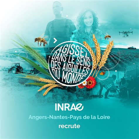 Sandrine Guillou Phd Hdr On Linkedin Linkedin