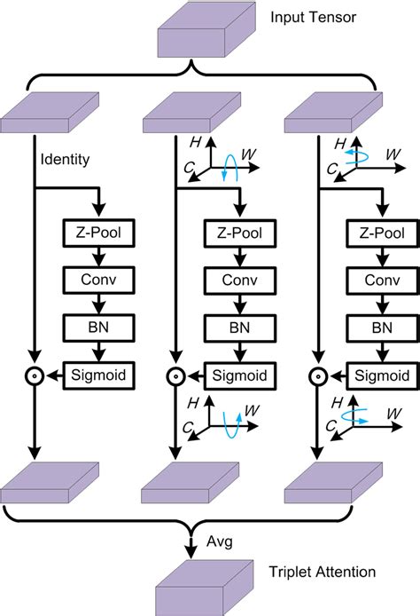 Architecture Of The Triplet Attention Module Is Used To Extract Image Download Scientific