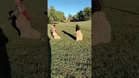 Rosaleigh Wins Youtube