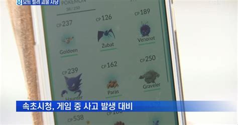요트까지 빌려 괴물 사냥속초 포켓몬고 열풍