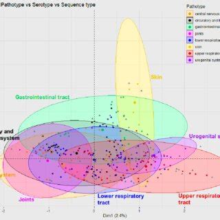 Multiple Correspondence Analysis Multiple Correspondence Analysis Of Download Scientific