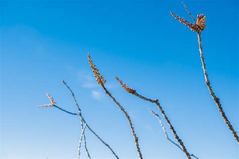 Weather Api Key Meteomatics