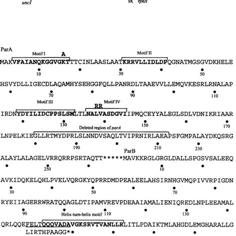 Schematic Diagram Illustrating Reductive Cell Division Rectangles