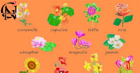 Unique Tree Names