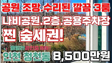 번호b 143새소리들리는 숲세권 전망 공기좋고 기본수리된 3룸 2층 넓은공용주차장아이즈빌 인근 집 앞 정류장 있는 인천부평구청천동 빌라매매 인천빌라 인천빌라