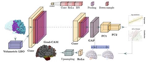 Tetcnn Convolutional Neural Networks On Tetrahedral Meshes Geometry