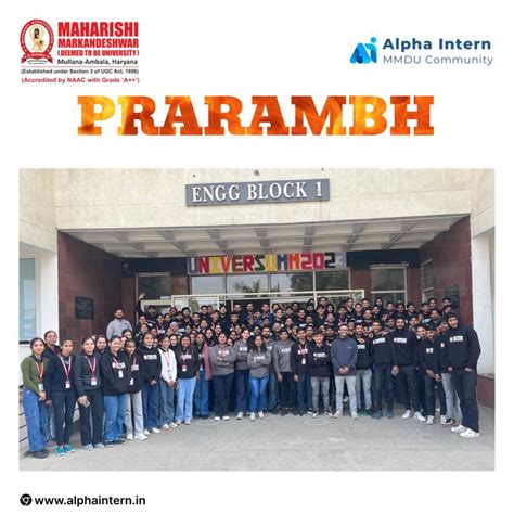 Mmdu Alphaintern Raushan Kumar