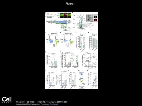 Volume 82 Issue 5 Pages June 2014 Ppt Download