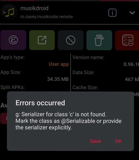 Bug Serializer For Class C Is Not Found · Issue 545
