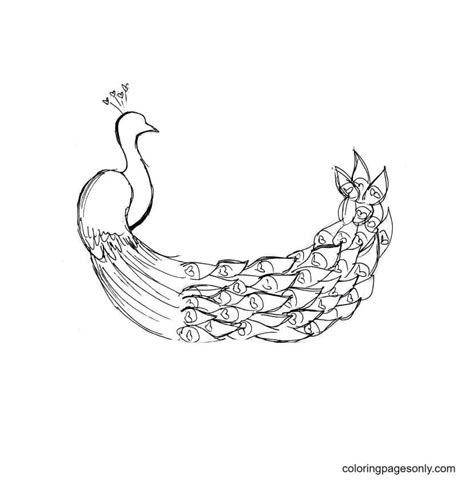 Peacock Coloring Pages To Print Free Printable Coloring Pages