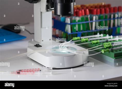 Lab On Chip Device In Microbiological Laboratory Stock Photo Alamy