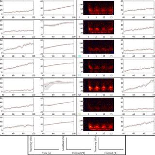 Gamma Response For Each Participant Each Panel Shows Data From A Download Scientific Diagram