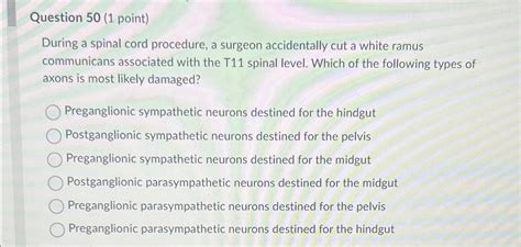 Solved Question Point During A Spinal Cord Procedure Chegg