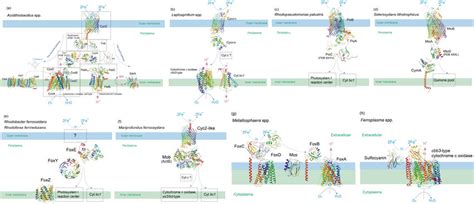 Models With Protein Structures Predicted By Rosettafold Showing The Download Scientific Diagram