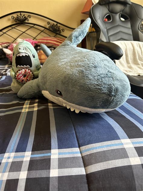 I Forced My Wife To Buy Shark Plush So Blahaj Would Not Be Lonely R