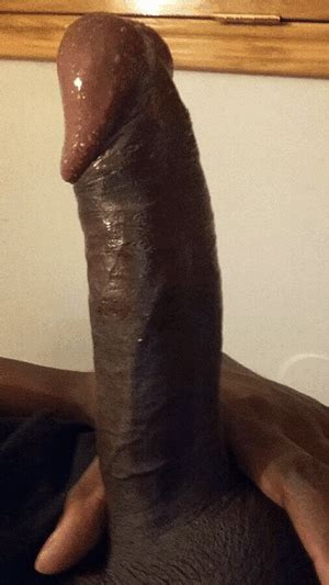 Bbc Babecock S