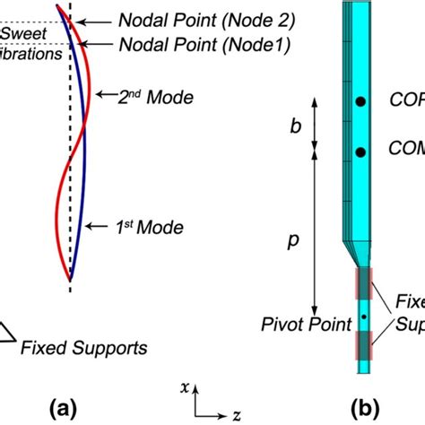 a location of nodal points on a cricket bat b location of cop on the