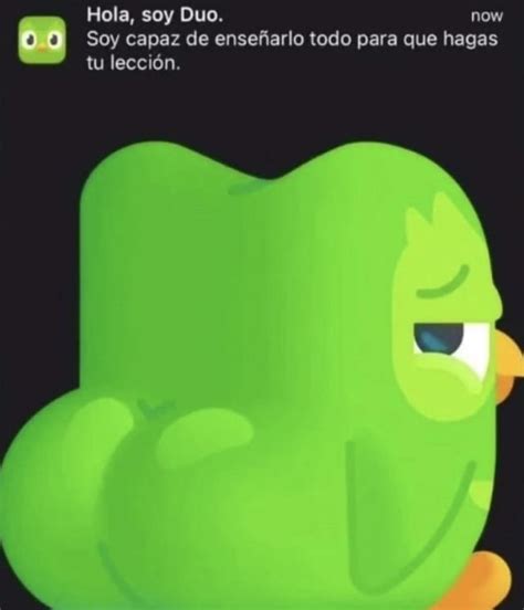 Que Estará Queriendo Decir Duolingo… R Dankgentina