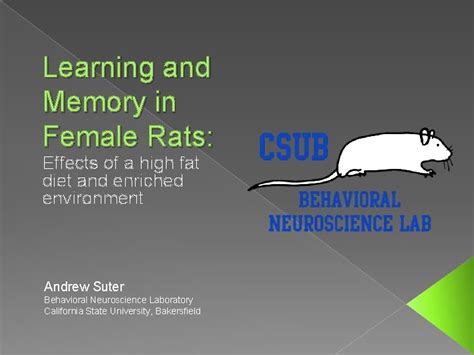 Learning And Memory In Female Rats Effects Of