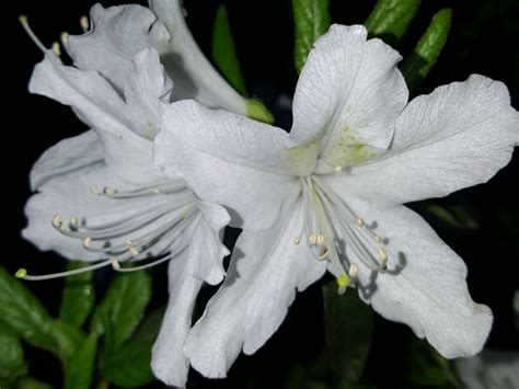 서수원골프존스크린 Band