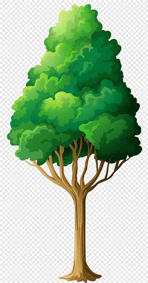 Tree Tree Leaf Branch Png PNGEgg