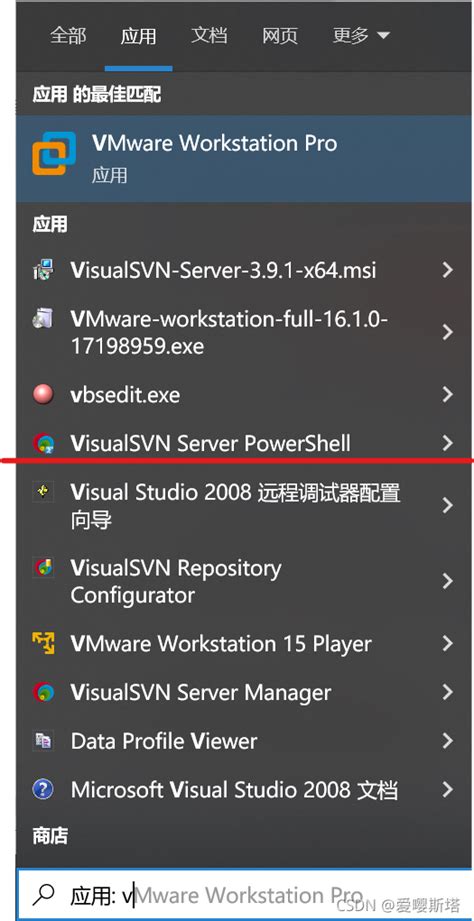 svn团队协作配置指南 csdn博客