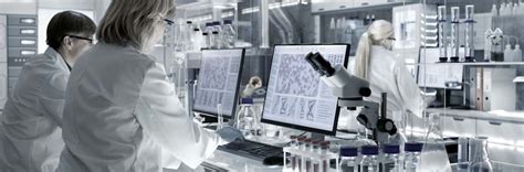 Everything You Need To Know About Crispr Grna Library Screening Vitro Biotech