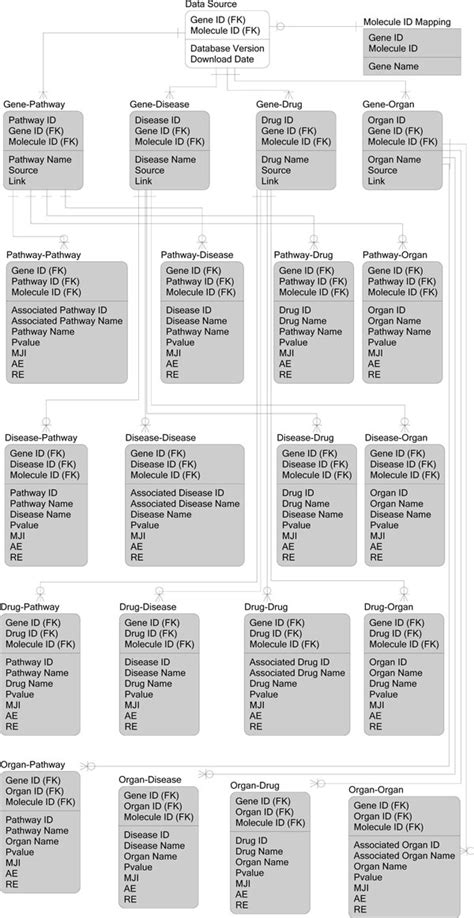 relational metadata model the datasets derived by the data generation