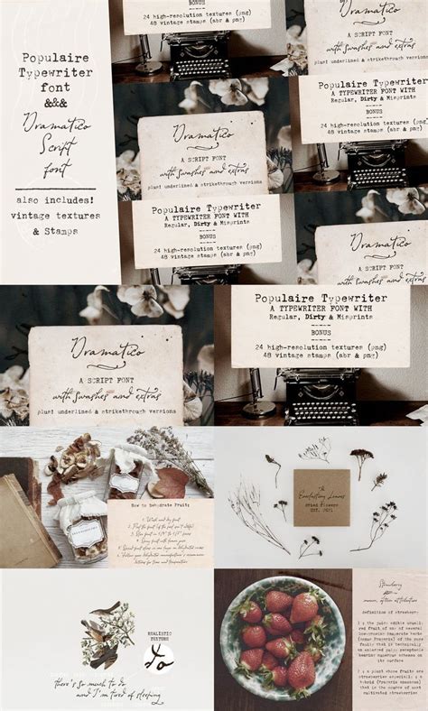 Typewriter And Script Font Pack Artofit