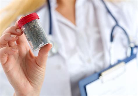 An Oncology Providers Guide To Patient Use Of Medical Cannabis During