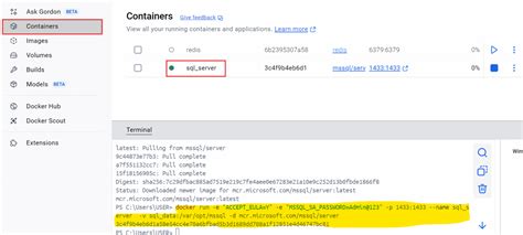 Running Microsoft Sql Server In Docker Vs Code Mssql Extension Jayant Tripathy