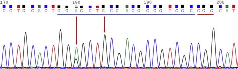 Representative Sanger Sequencing Chromatogram Of The Target Region In