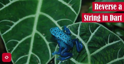 Reverse A String In Dart The Renegade Coder