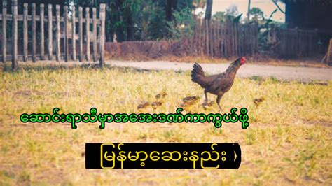 ဆောင်းရာသီအတွက်မြန်မာ့ဆေးနည်း Youtube