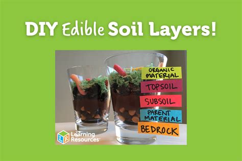 Diy Edible Soil Layers Artofit