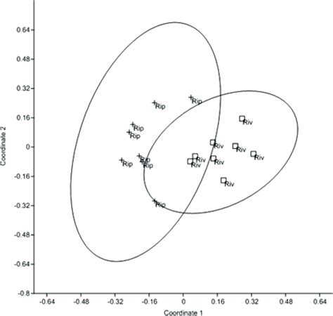 Nmds Analysis Nmds Of Web Spinning Spider Abundances For Each Sampling