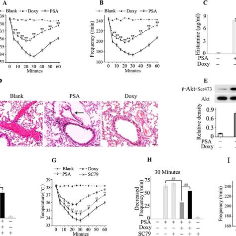 PDF Doxycycline Exerts Multiple Anti Allergy Effects To Attenuate Murine Allergic