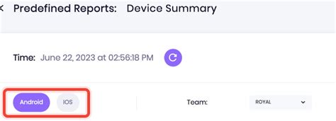 Use The Device Summary Report Kobiton Docs