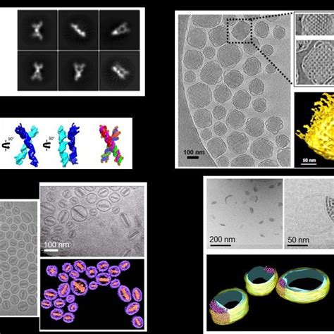 3d Imaging In Cryo Tem By Single Particle Analysis And Electron Download Scientific Diagram